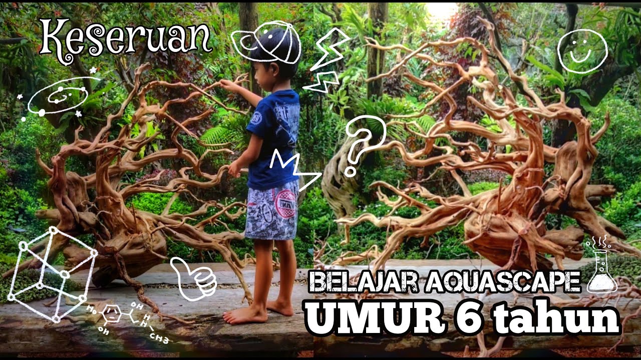 Belajar Membuat Aquascape Anak // Rasio Style - YouTube