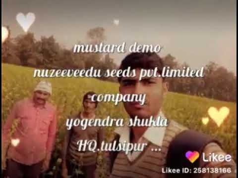 Yogendra shukla - YouTube