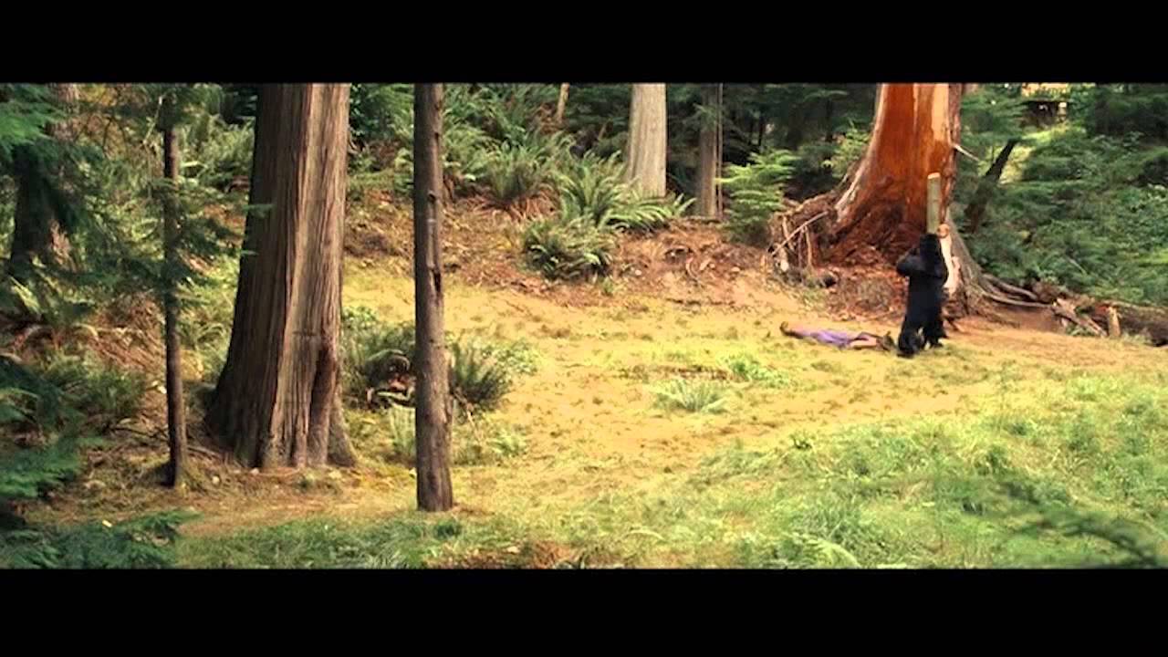 Nicolas Cage Bear Jokes from the Wicker Man Review - YouTube