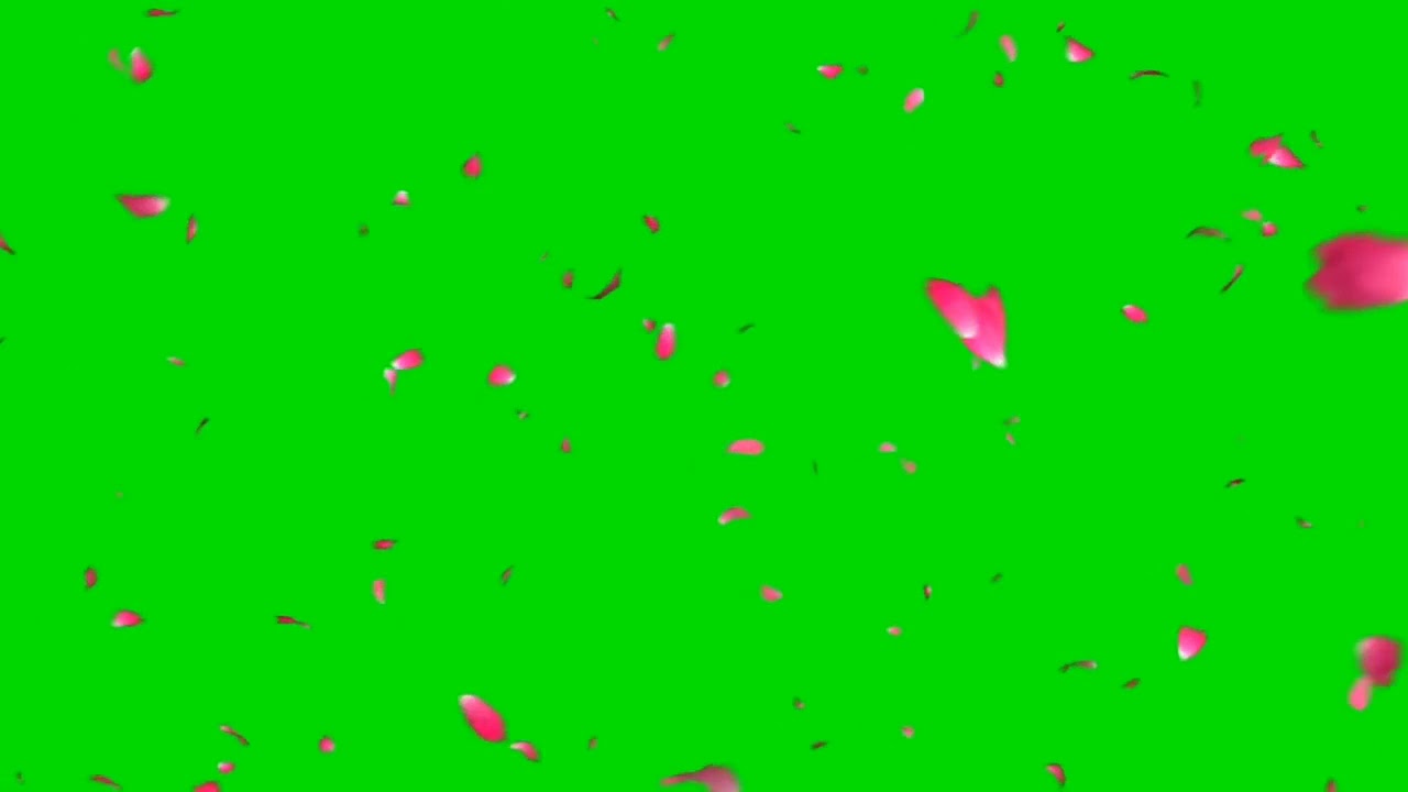 green screen bunga sakura - YouTube