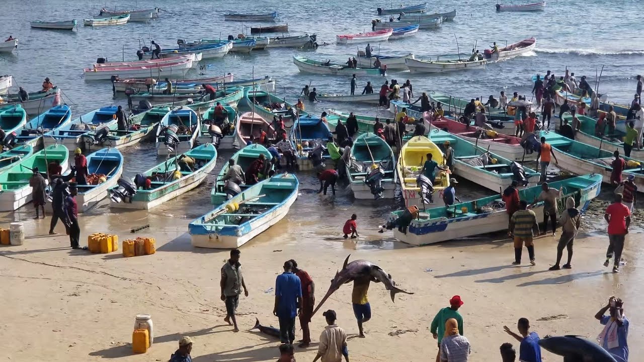 som fishing port in Indian Ocean - YouTube