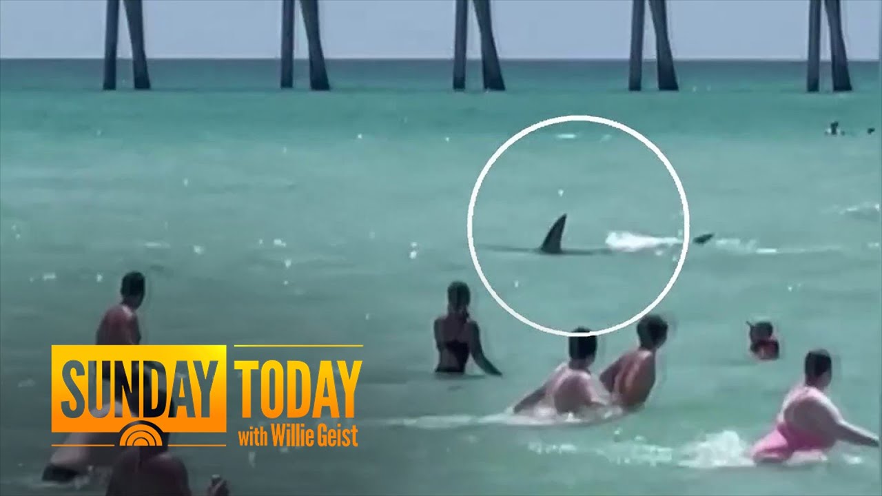 What’s behind the increased shark sightings this summer? - YouTube