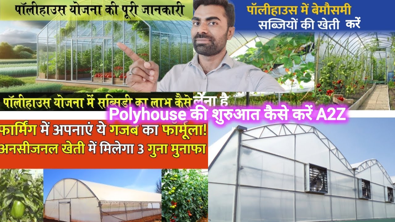 नया पॉलीहाउस कैसे लगाएं how to set up a new polyhouse |Which crop ...