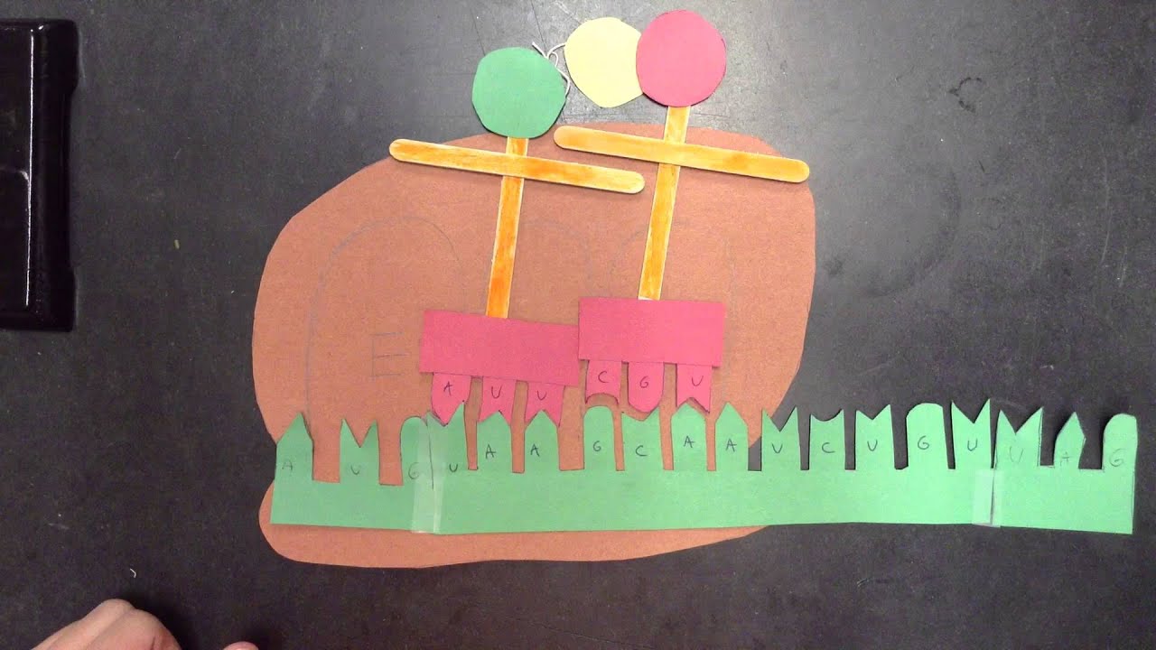 Translation Stop Motion - YouTube