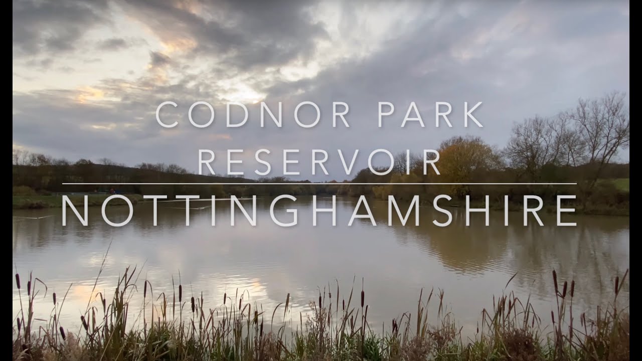 Codnor Park Reservoir | High Waters | Swans | Ducks | Relaxing | 4K ...