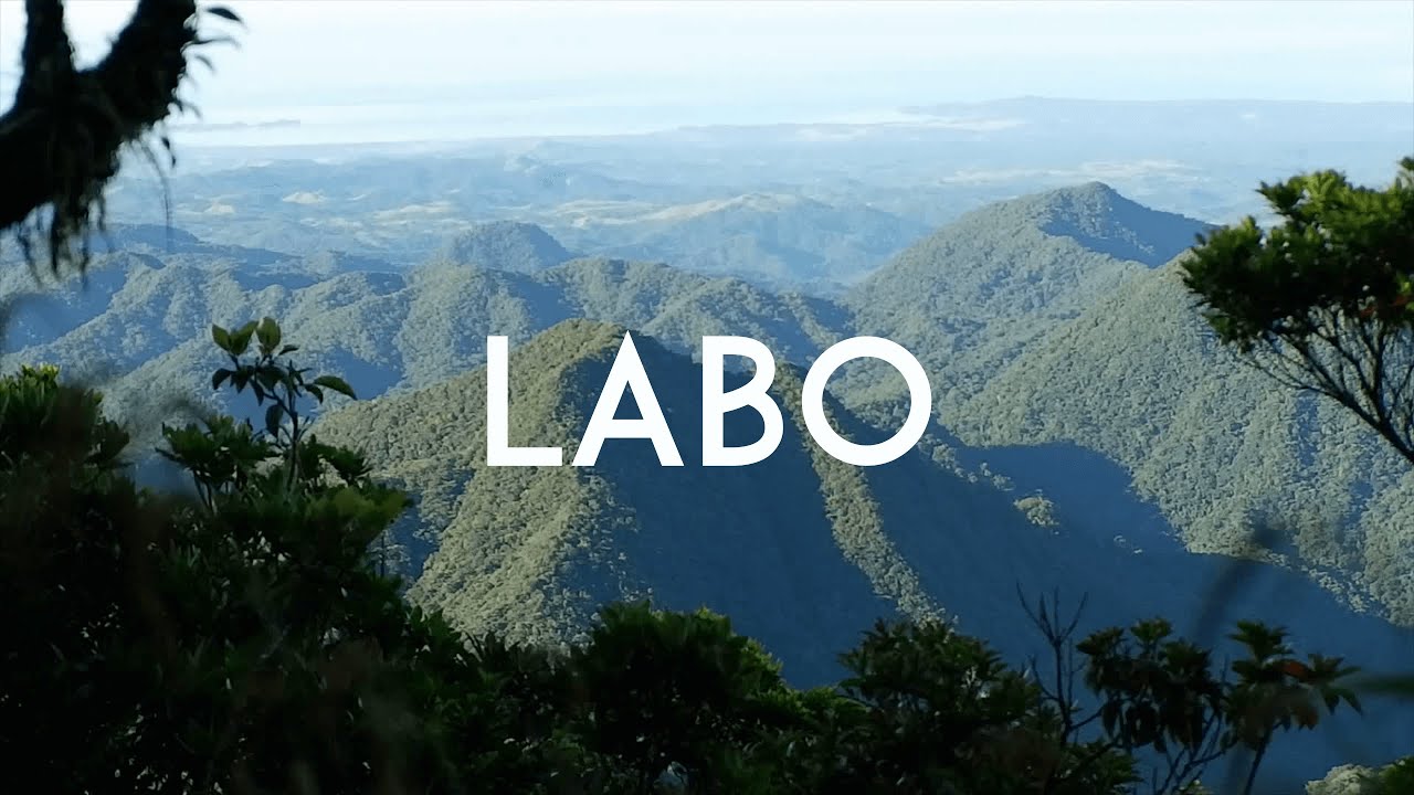 49 Mt. Labo, Labo, Camarines Norte | i'm so tired by Lauv & Troye Sivan ...