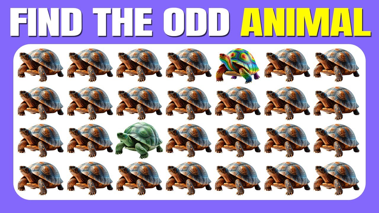 Find The Odd One Out - Marine Animals Edition 🐬🐳🐢 - Easy, Medium, Hard ...