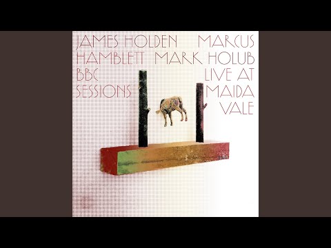 James Holden, Marcus Hamblett, Mark Holub – BBC Sessions: Live at Maida ...