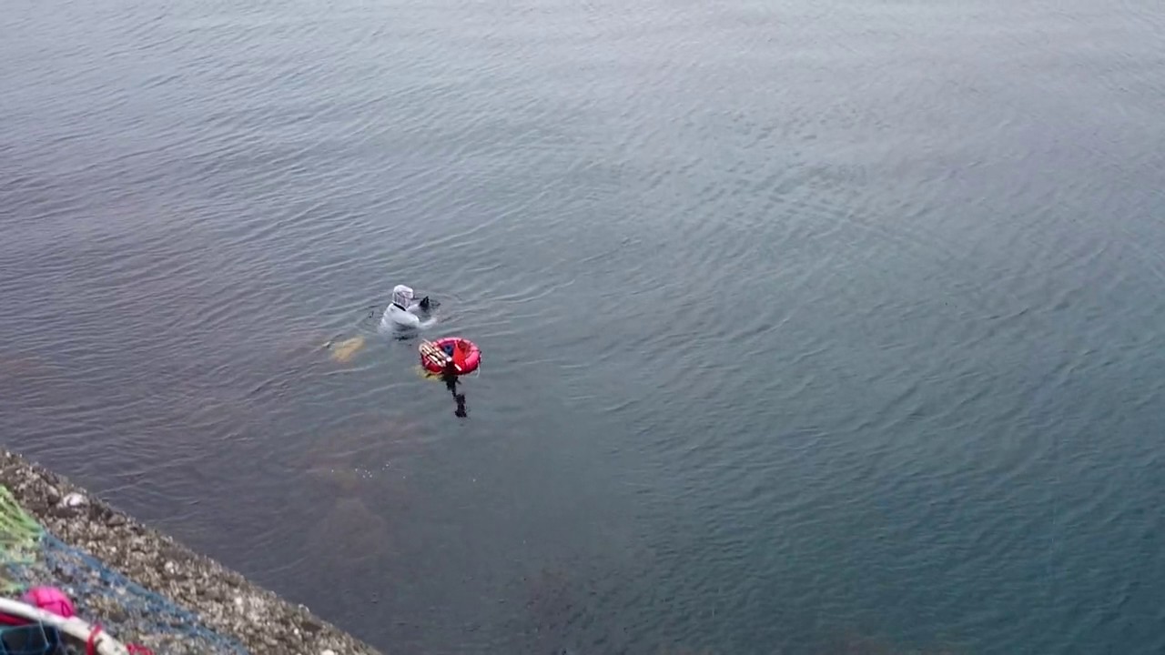 japanese woman shell diver 伊勢 海女 - YouTube