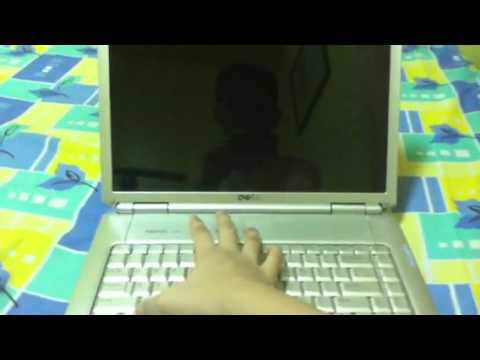 Dell Inspiron 1520 screen problem Need HELP!!! - YouTube