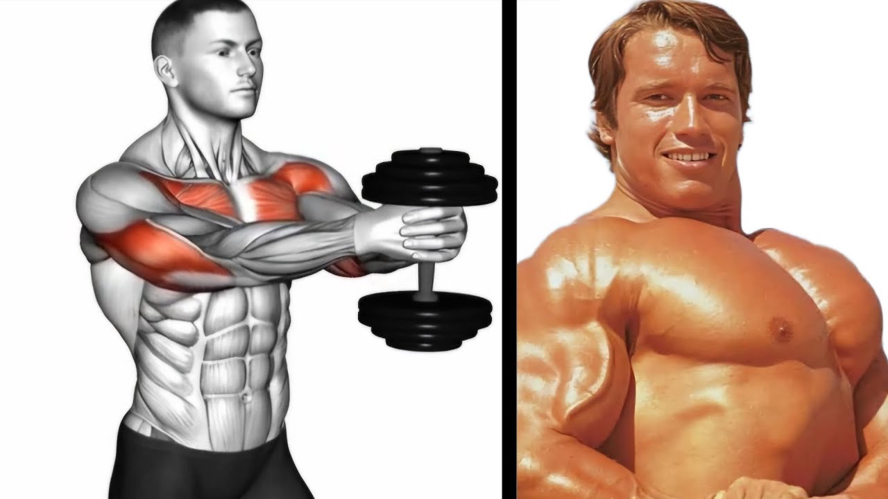 Best workout for beginners to increase cheat volume - YouTube