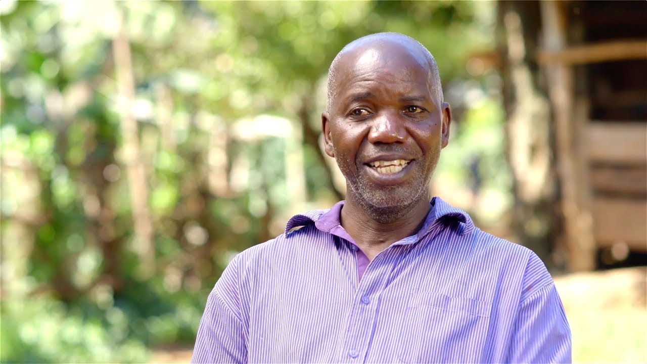 Shamba Shape Up Uganda Series 2 - Ep 17: Dairy Cow (AI), Beans, Banana ...