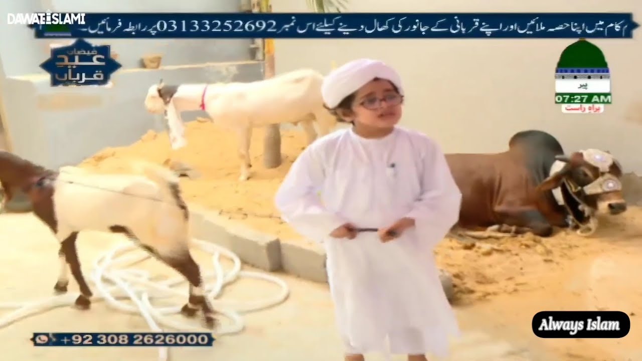 Hassan Raza Attari Khush Nahi Hai ? 😢😢😢😭 ☆ Hassan Raza Attari ☆ Syed ...