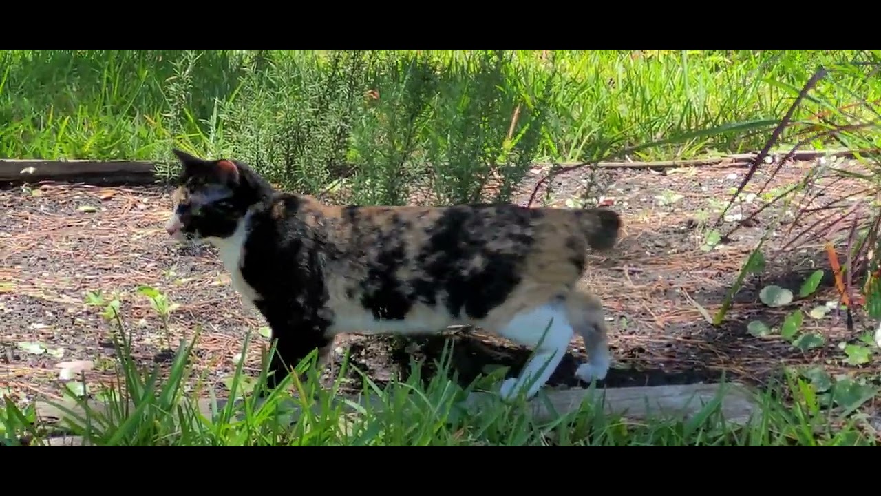 When life is good 🙏 - YouTube