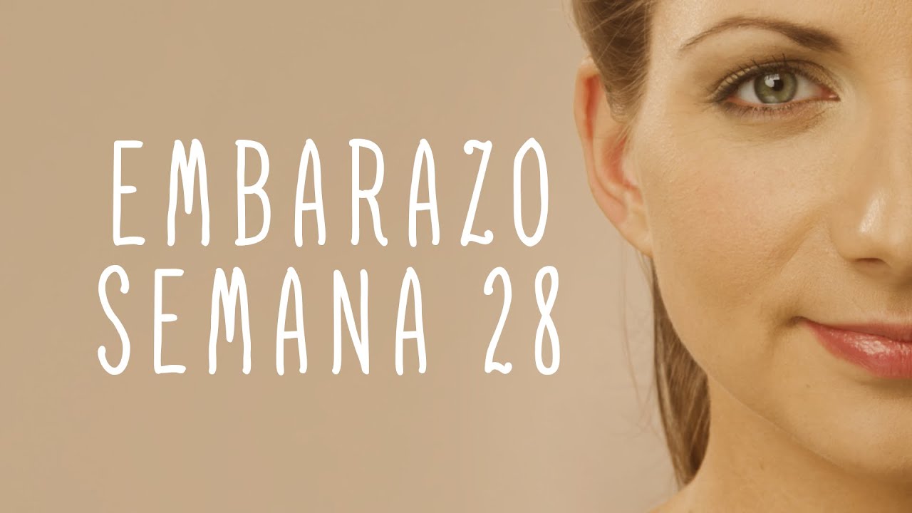 Calendario De Embarazo - Semana 28 - YouTube