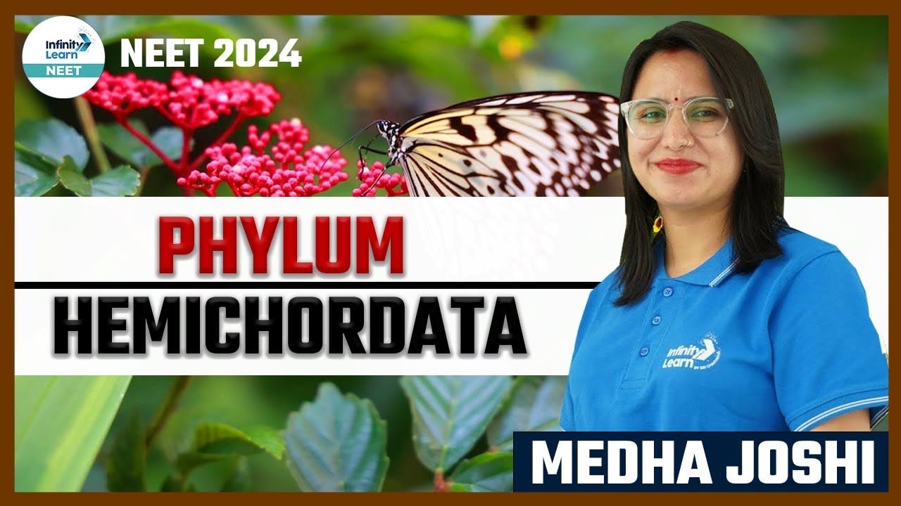 Phylum Hemichordata || #ShortLecture || #NEET2024 Zoology || Medha ...