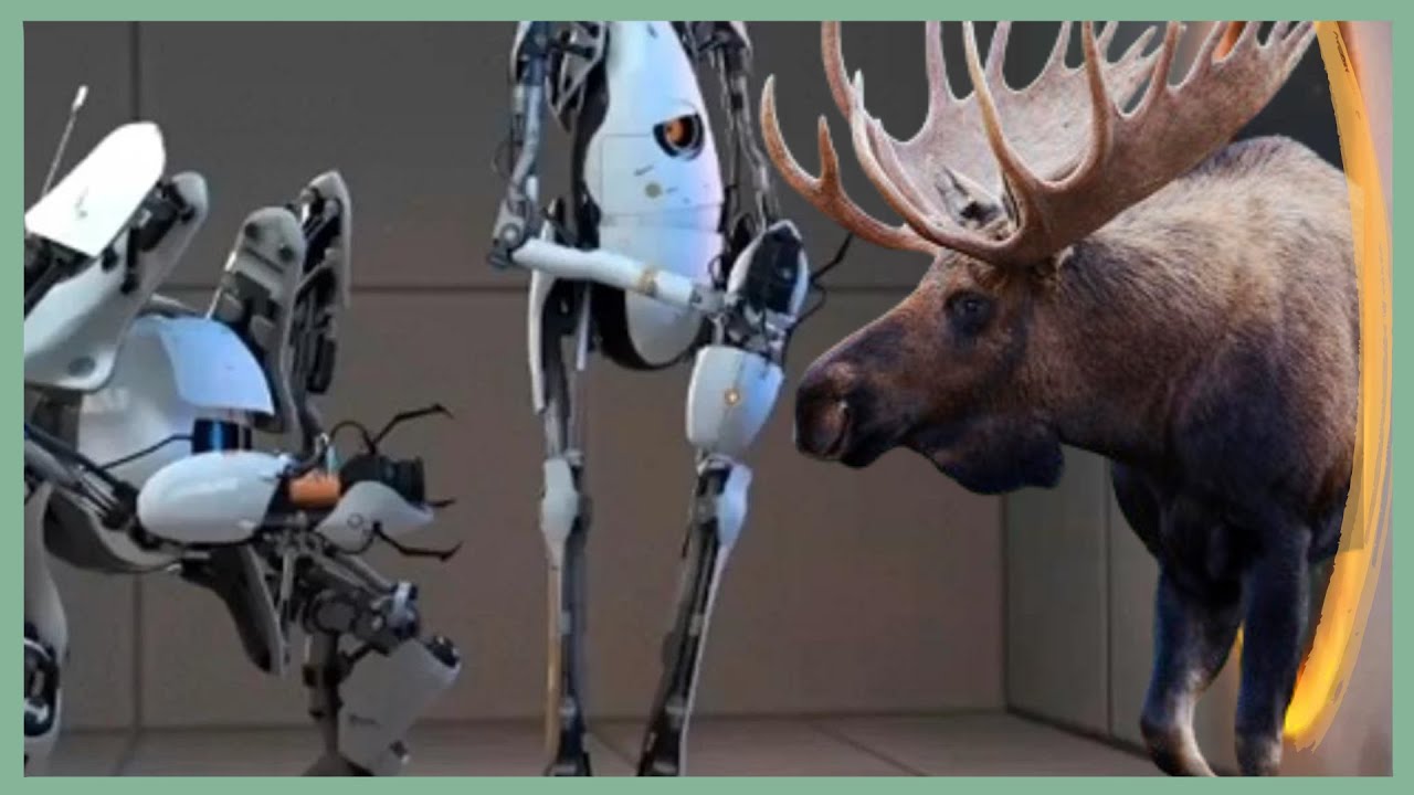 Portal 2 With a moose - YouTube