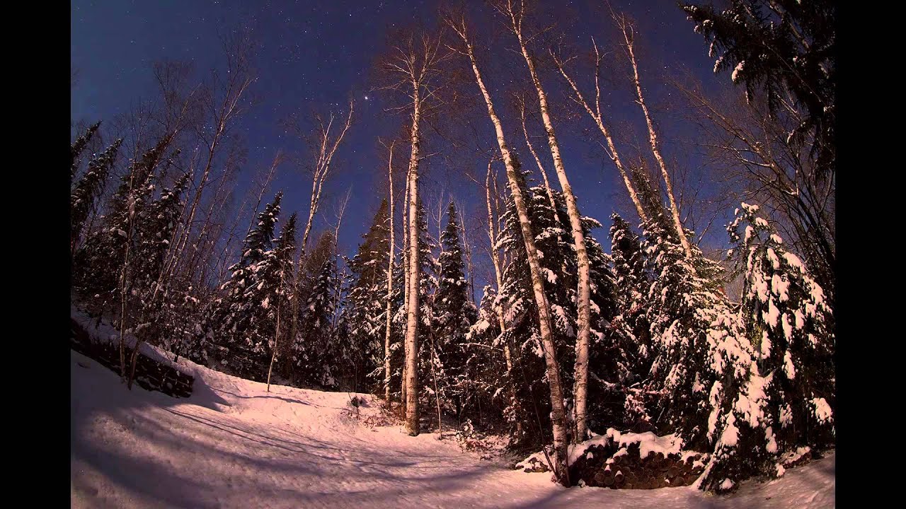 Snow-covered trees at night - YouTube