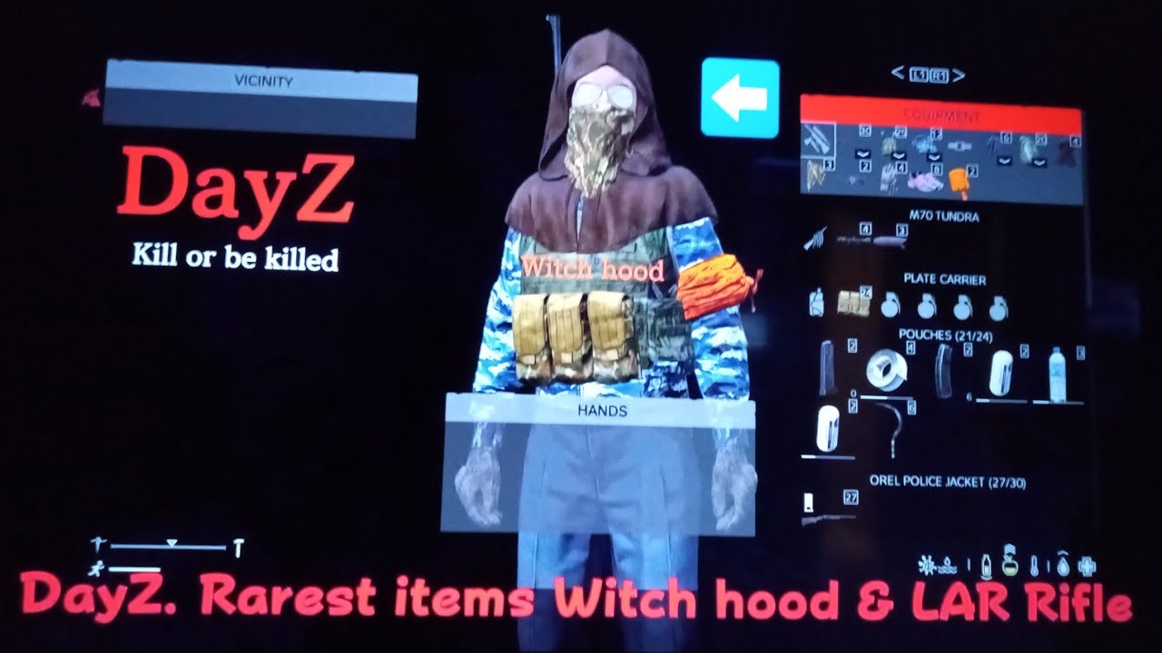 DayZ - Rare Witches Hood & LAR Rifle - YouTube