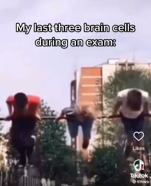 My last 3 brain cells during an exam - YouTube