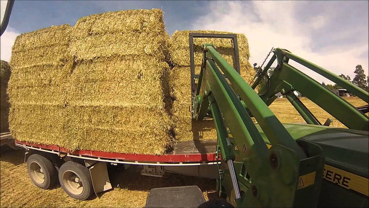 Loading Bales, Hayden Mackenzie Contracting - YouTube