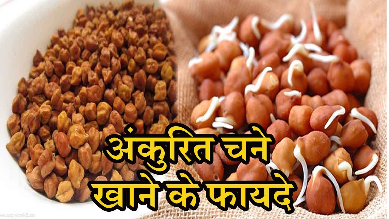 ankurit chana benefits in hindi