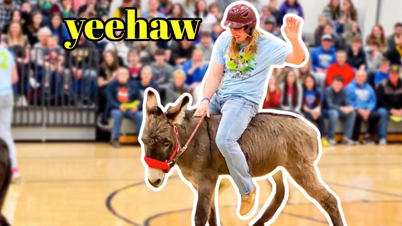 Giving Up Farming To Become PROFESSIONAL DONKEY Riders??? - YouTube