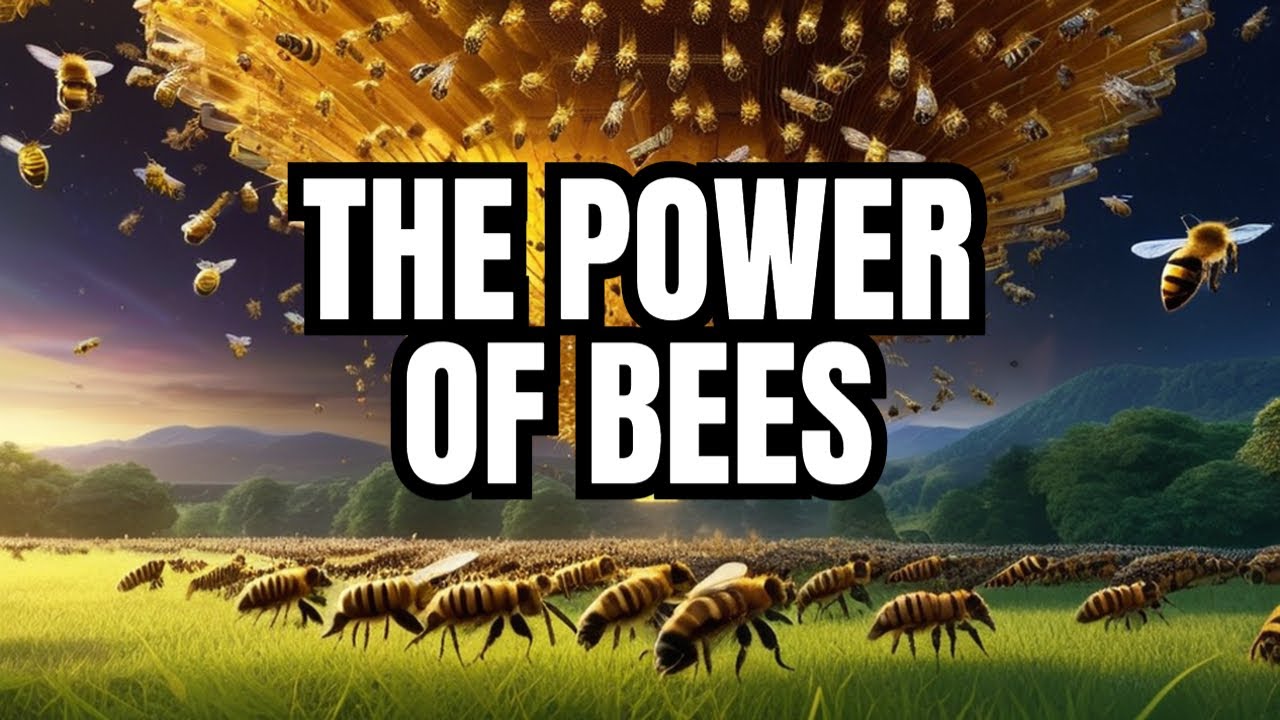 Secrets of Bee Power Revealed - YouTube