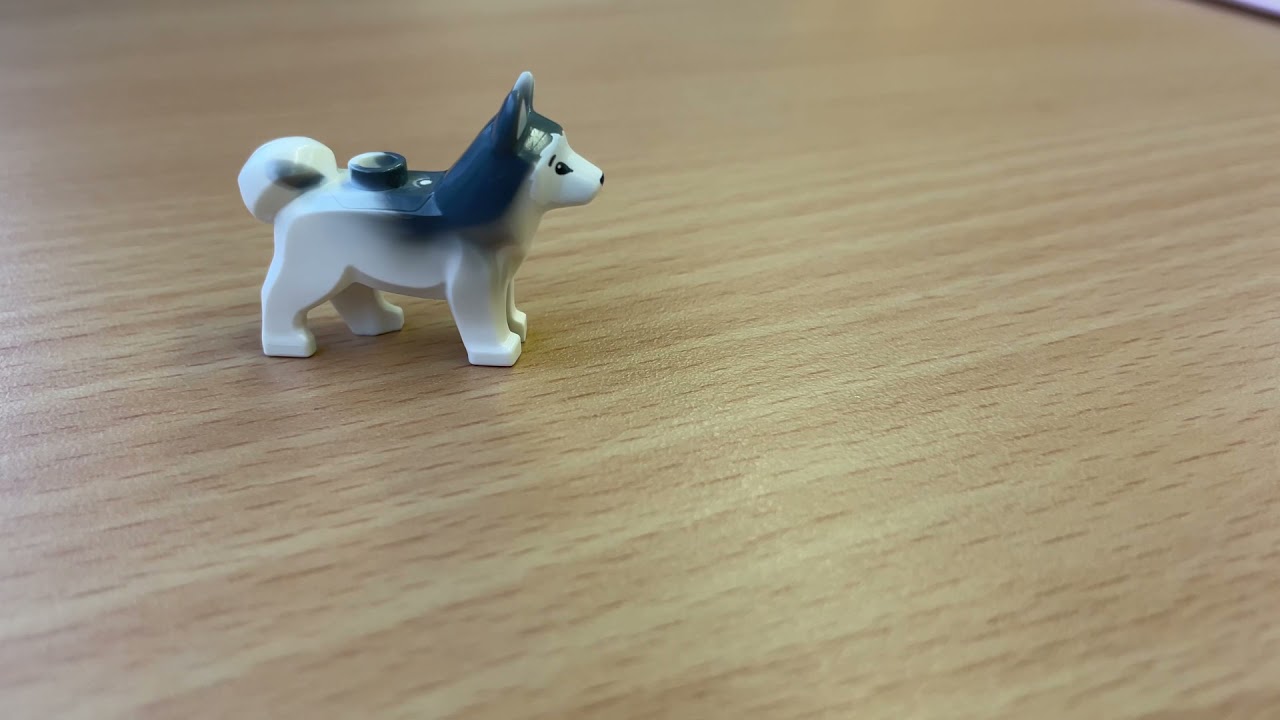 Static camera shot - YouTube