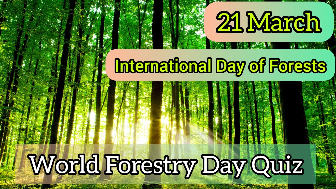World Forestry Day Quiz|| 21 March, International Day of Forests - YouTube
