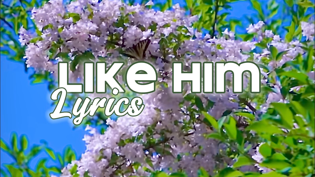 Like Him - Tyler, The Creator | lyrics - YouTube