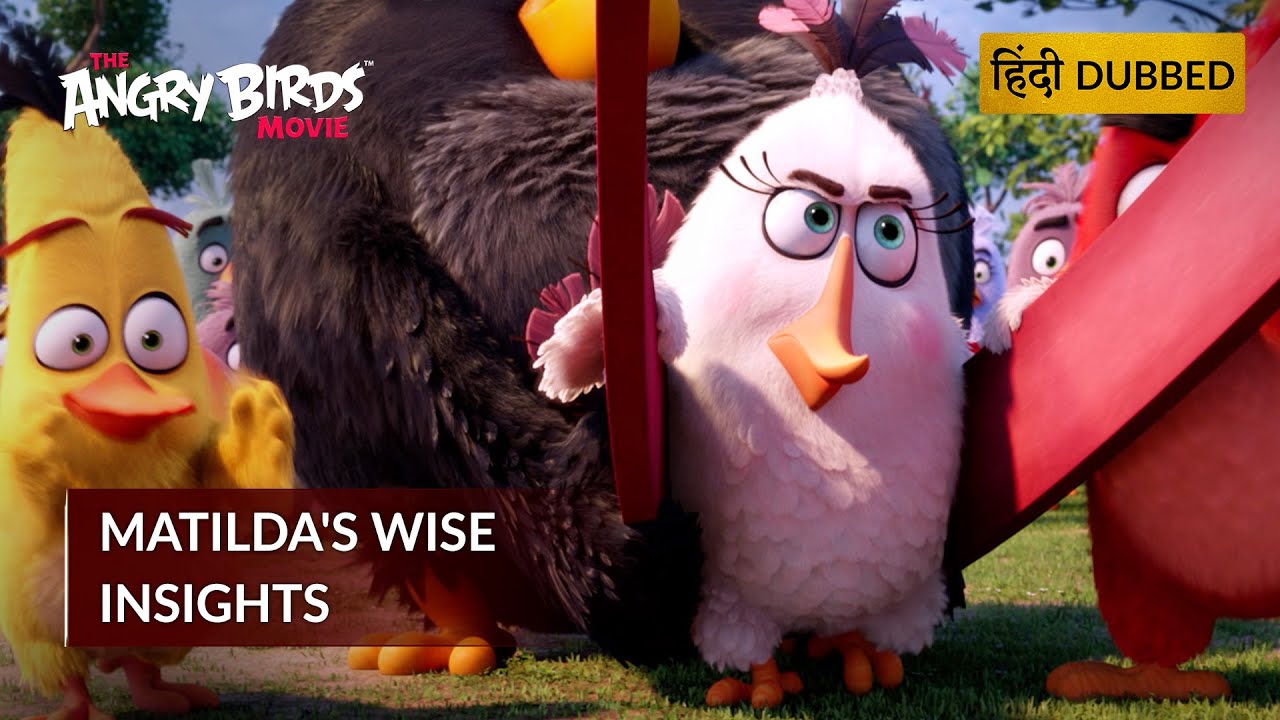 THE ANGRY BIRDS MOVIE | Wise Insights | Hollywood Movie Scenes | Movie ...