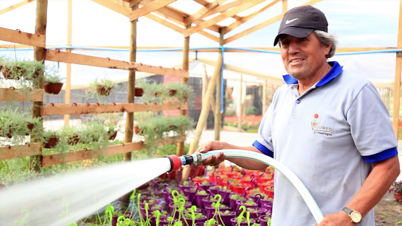 Sercotec Programa Crece 2019. - YouTube