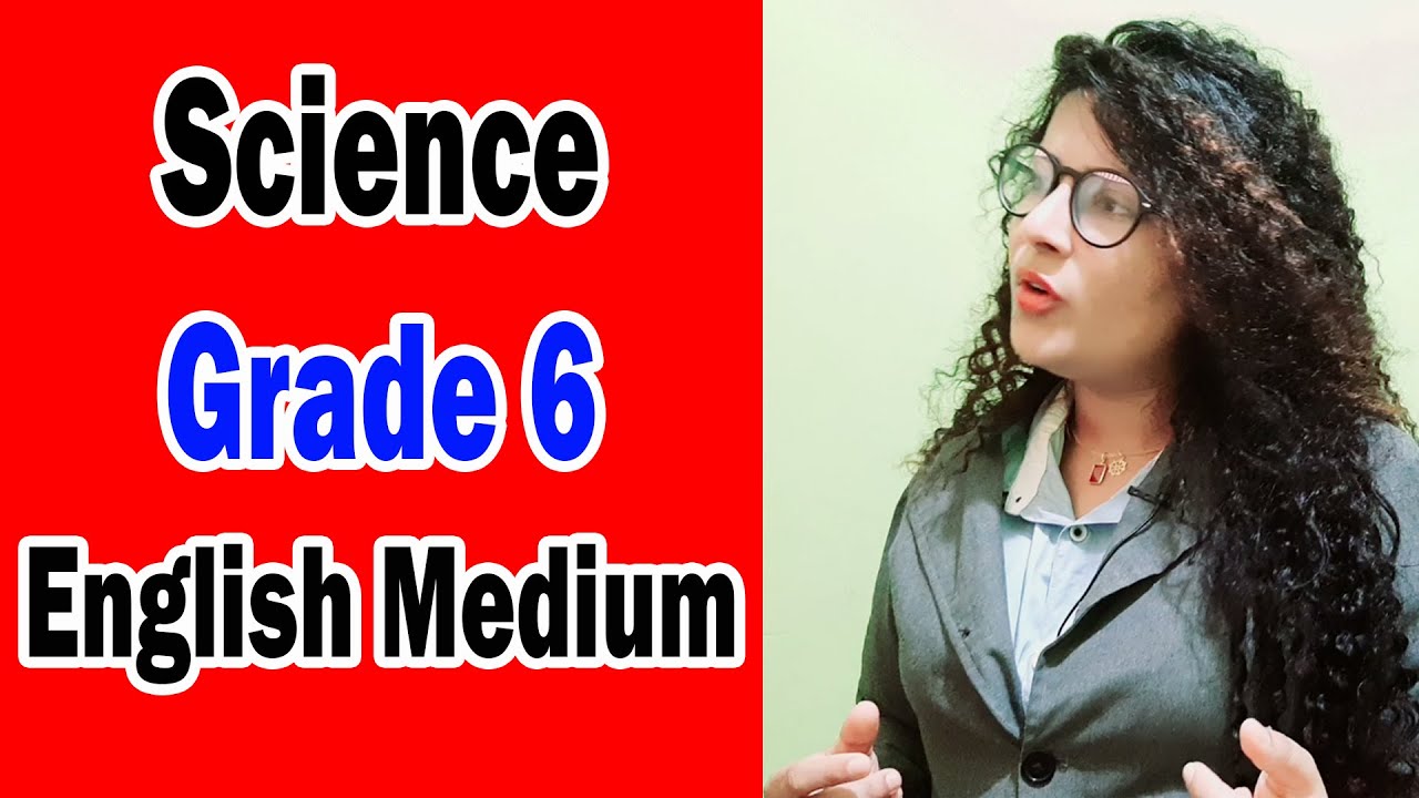 Grade 6 Science English Medium: Let's Enter The world of Science ...