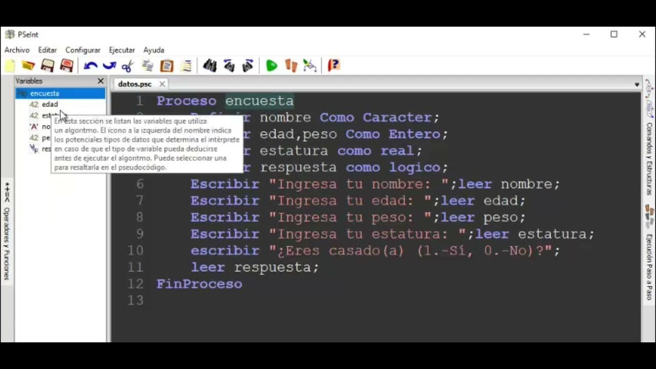 9. El Panel de Variables en PSeInt - YouTube