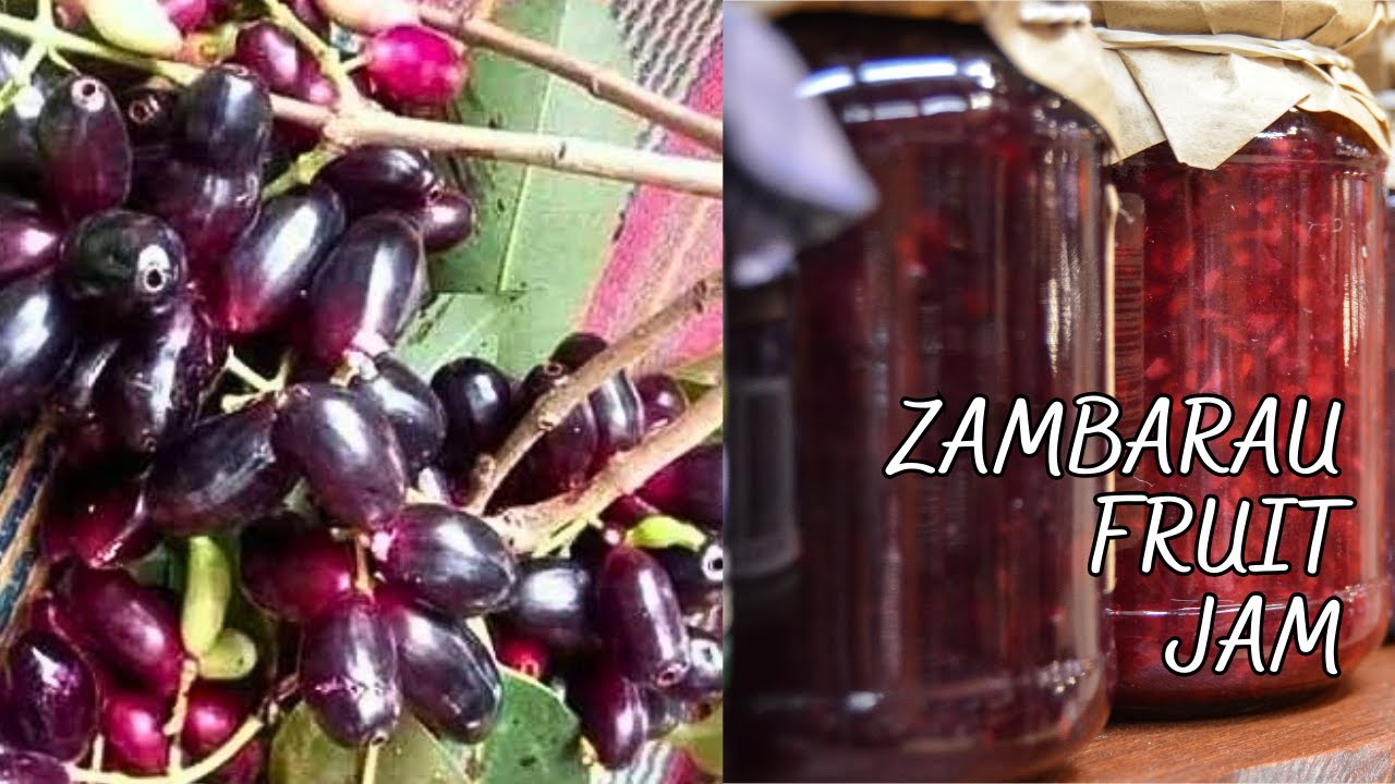 Health Benefits Of Zambarau Fruit at Edward Cramer blog