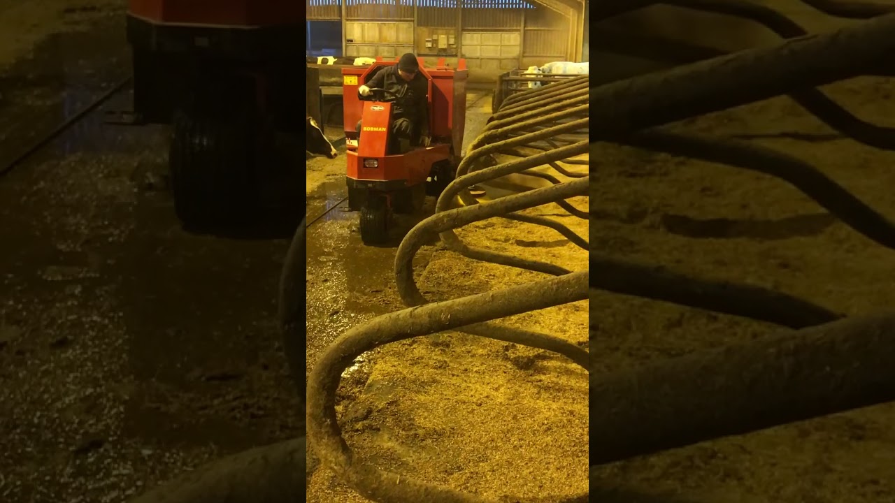 Bobman Self Propelled Cow Cubicle Bedder and Sweeper - YouTube
