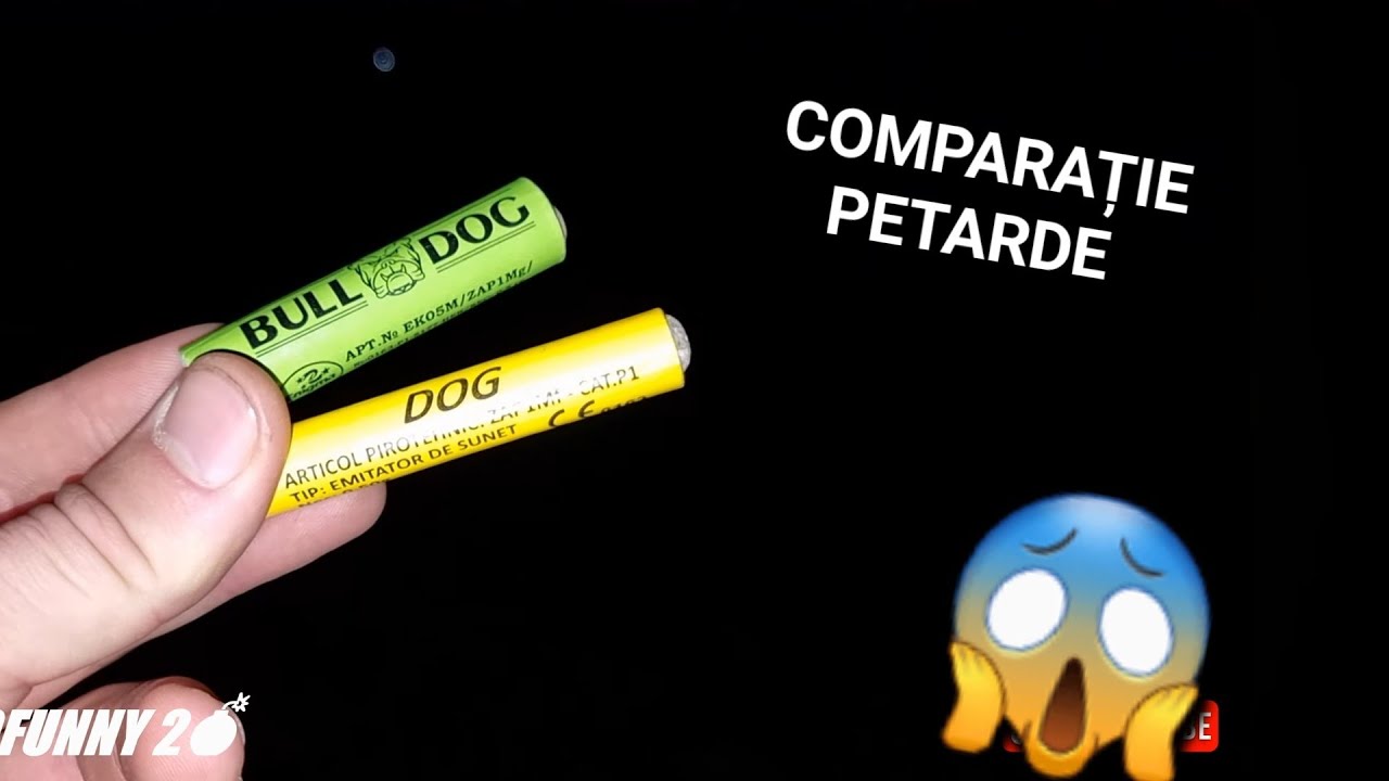 ⛔️BULL DOG 🆚️ DOG - Comparație Petarde 2024💣 - YouTube