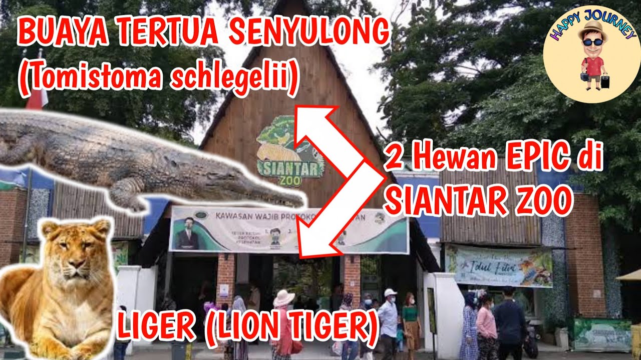 SIANTAR ZOO | Kebun Binatang Terlengkap Di Sumatera Utara | Animal ...