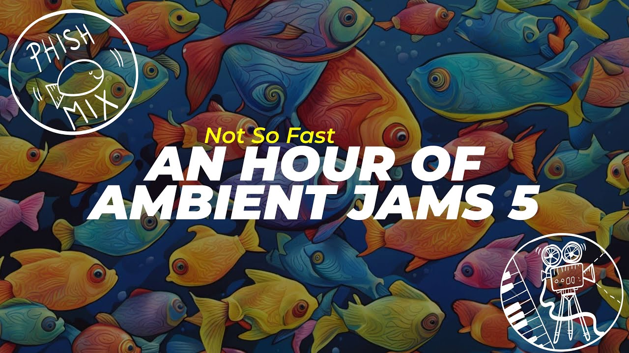 Not So Fast: 🎵🦥🎣🎵 [Phish Ambient Jams Compilation 5] - YouTube