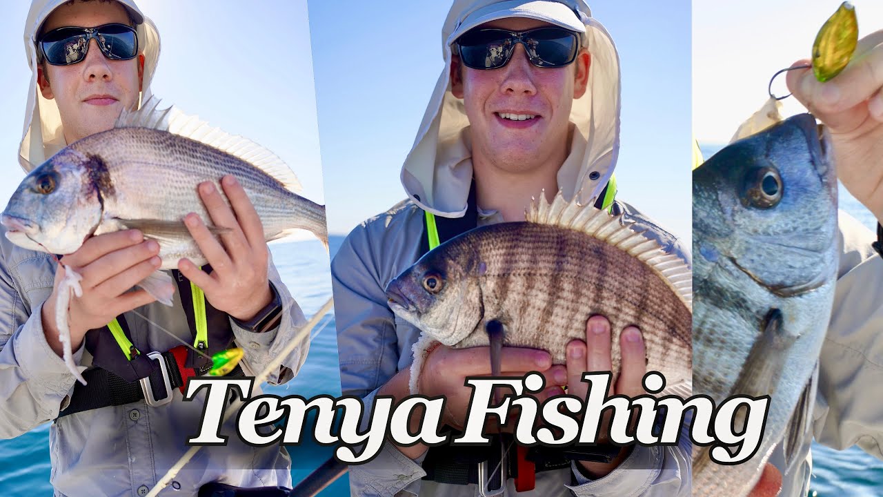 Tenya Fishing in Algarve - Tenya Jigging - Father & Son Fishing - YouTube