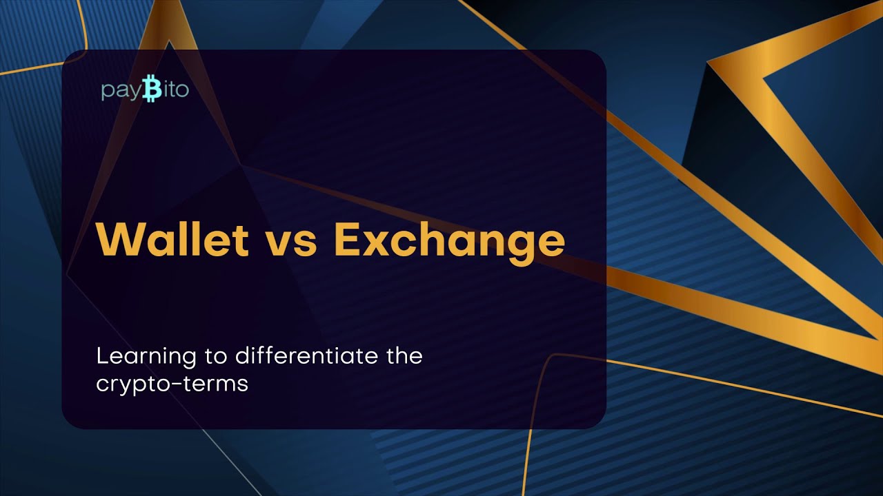 Crypto Wallets Vs Exchange - PayBito - YouTube