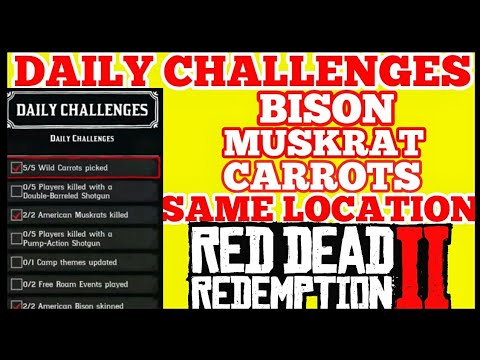 DAILY CHALLENGES BISON MUSKRAT CARROTS SAME LOCATION Red Dead Online ...