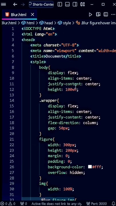 Blur | Image Blur Effect | Hover Effect | Html Css - YouTube