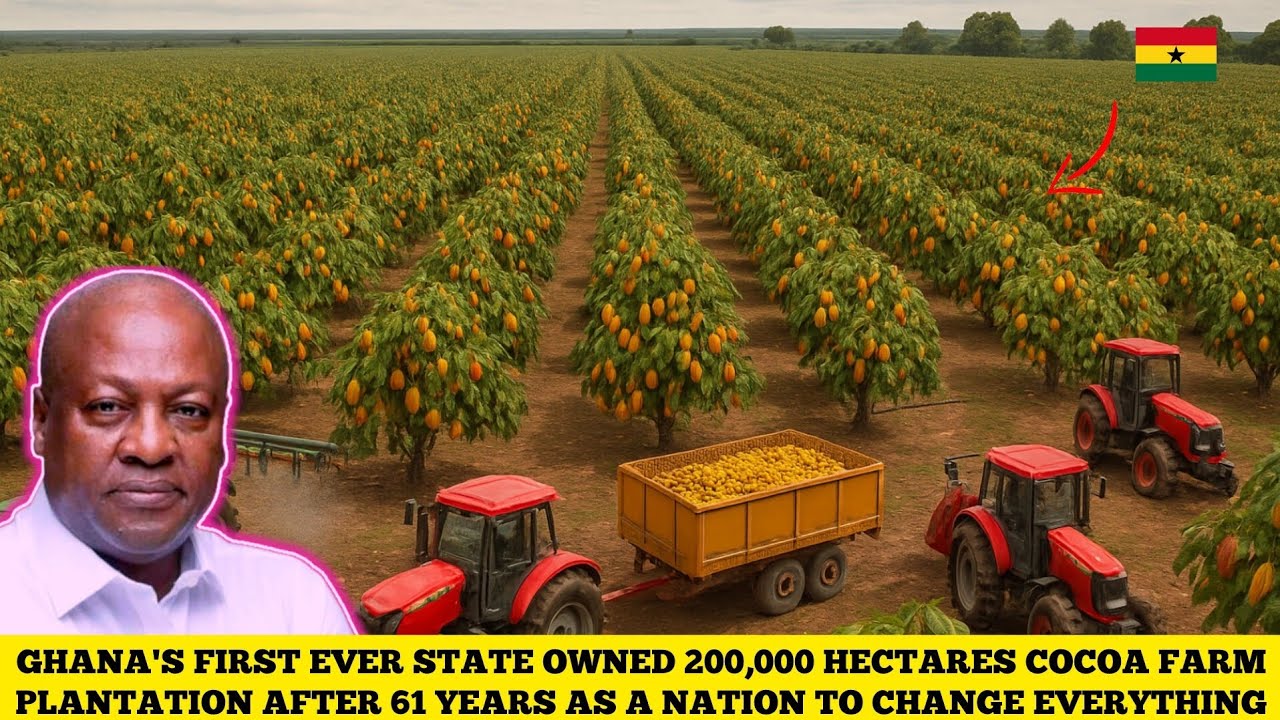 GHANA'S FIRST EVER STATE OWNED 200,000 HECTARES COCOA FARM PLANTATION ...
