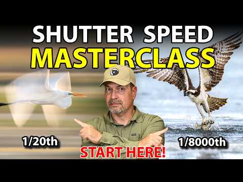 Wildlife Shutter Speed: You’re Using the Wrong One