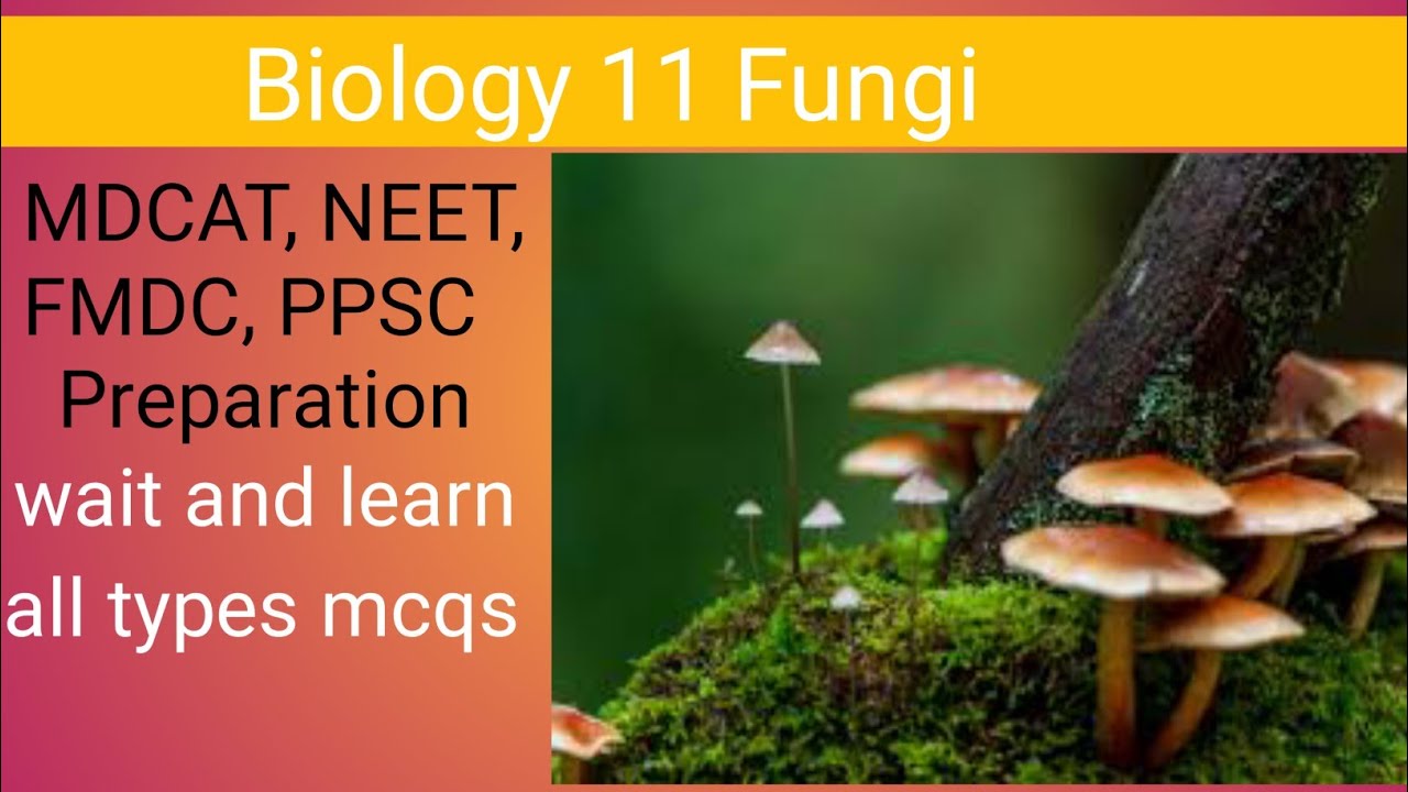 Biology 11 chap 7|fungi mcqs|fungi repeating question mdcat|neet test ...