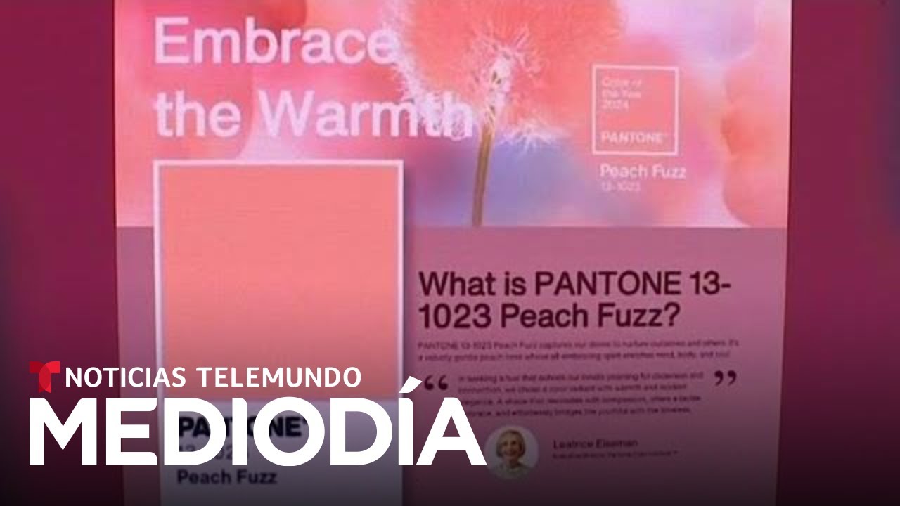 Melocotón suave y aterciopelado: así es el color de 2024... según ...