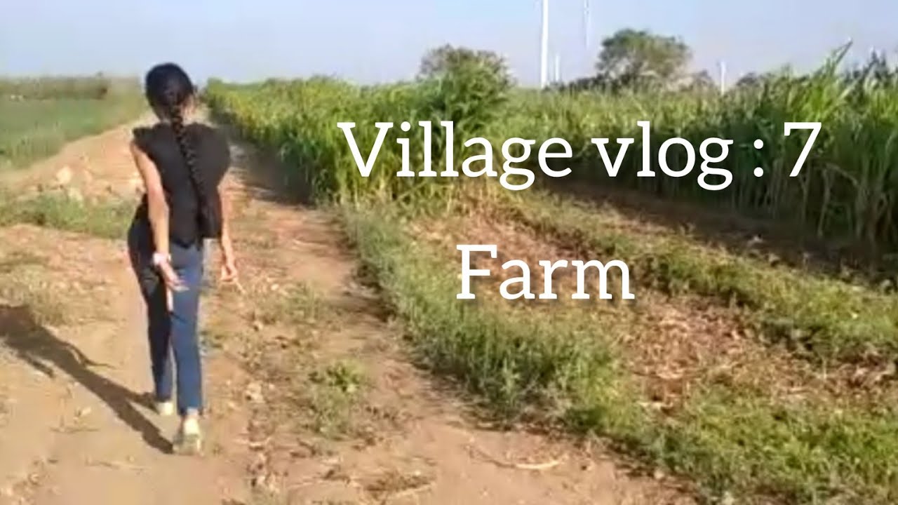 Hridya | Village | Farm | vlog | #vlog - YouTube