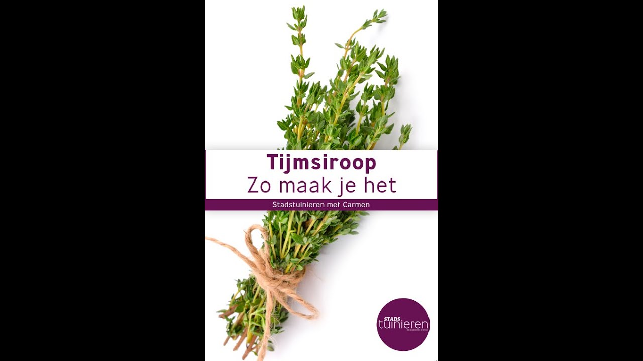 Stadstuinieren - Zelf Tijmsiroop maken - YouTube